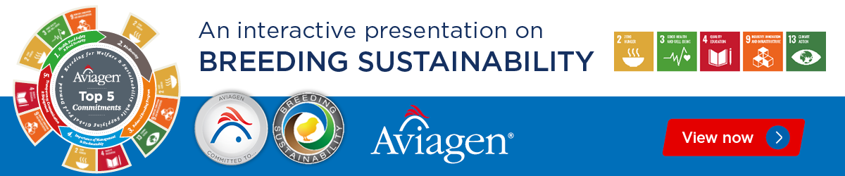 Breeding Sustainability | Aviagen